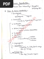 Molecular Basis of Inheritance - Super Notes by Seep Pahuja | PDF ...