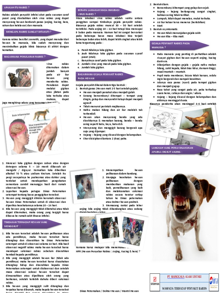 Leaflet Rabies | PDF
