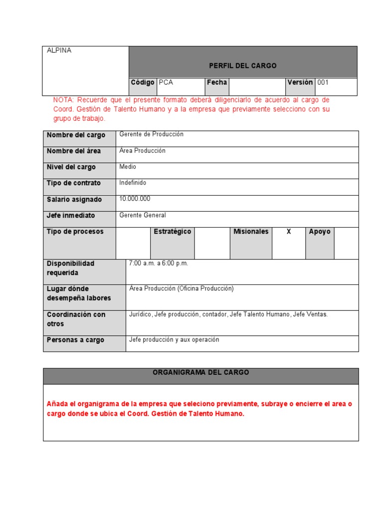 Formato Perfil Cargo Vacio | PDF