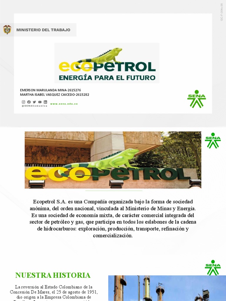 Grupo 5 - Ecopetrol | PDF