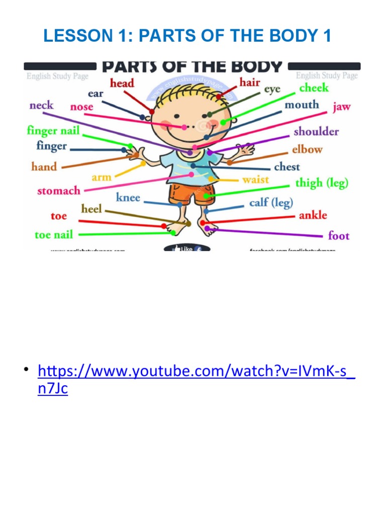 Lesson 1 - Parts of the body | PDF