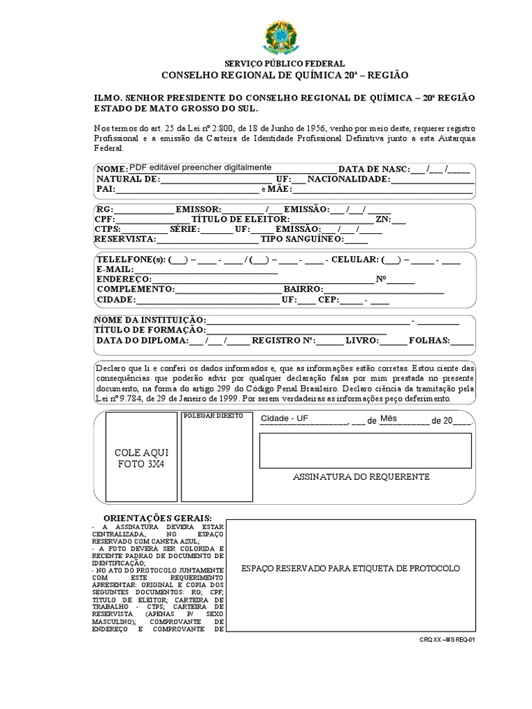 Modelo de Requerimento de Registro Profissional | PDF