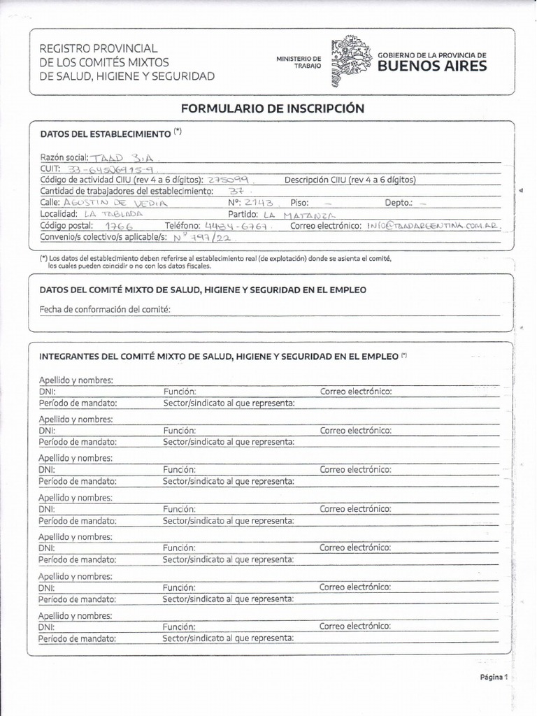 Formulario Comite Mixto 31-05-2023 | PDF