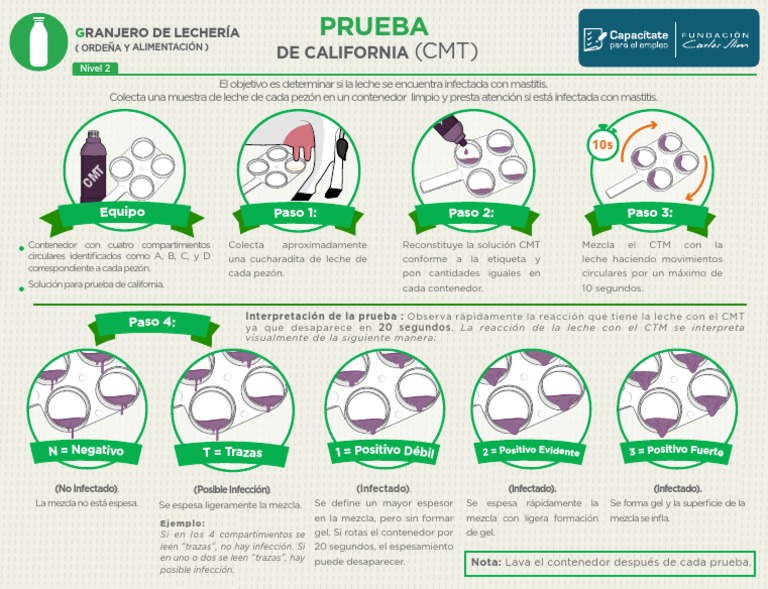Prueba de california | PDF
