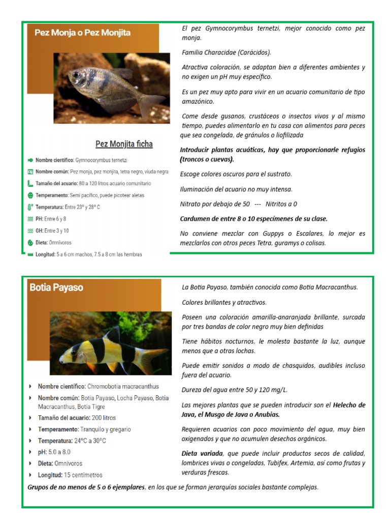 Ficha Técnica de Peces para Acuario | PDF | Acuario | Animales acuáticos