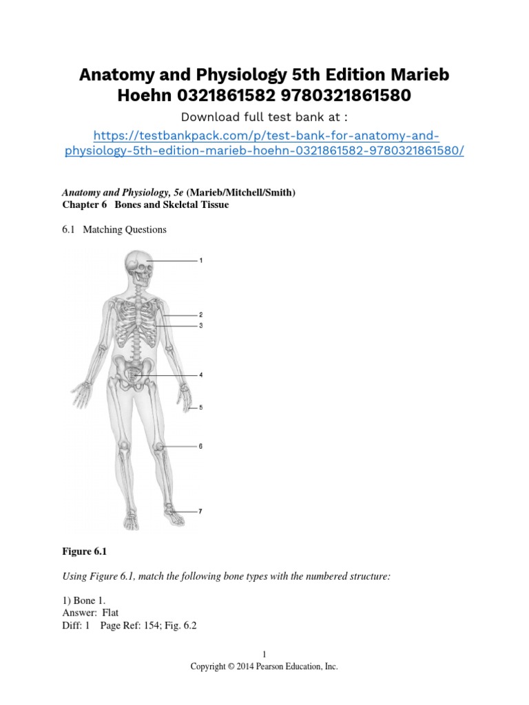 Anatomy and Physiology 5th Edition Marieb Test Bank Download | PDF