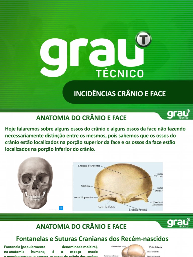Anatomia do Crânio e Face Humana | PDF