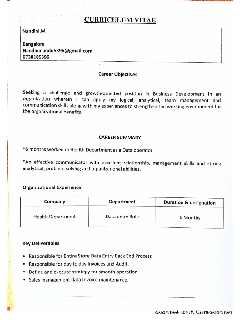 Ñàñdiñi Resume 1 | PDF