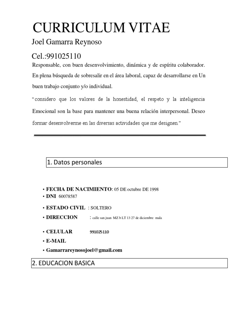 Currículum JOEL GAMARRA. | PDF