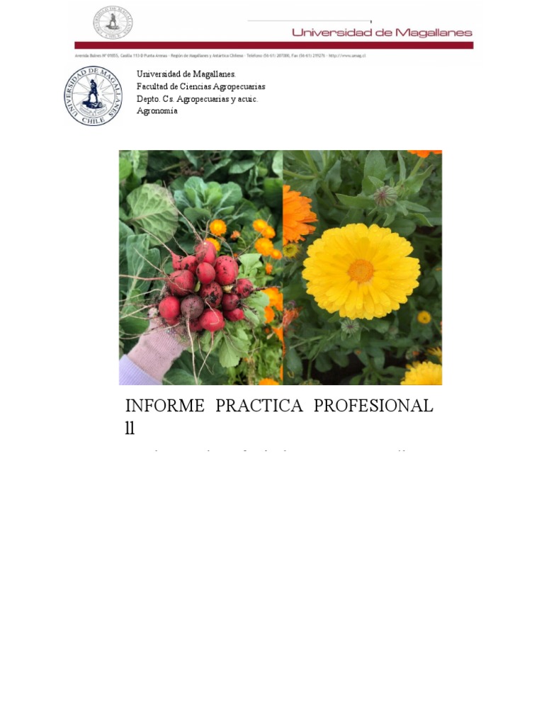 14 Mayo Informe Practica Prof LL Completo | PDF