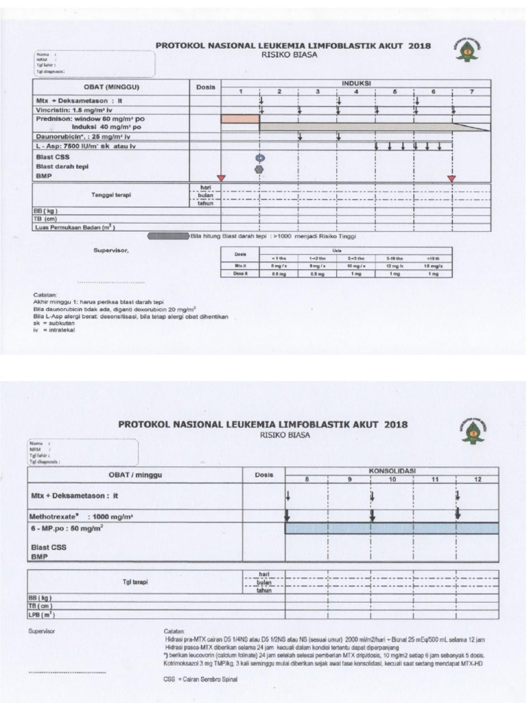 Protokol Penangan ALL 2018 (Standart Risk) | PDF