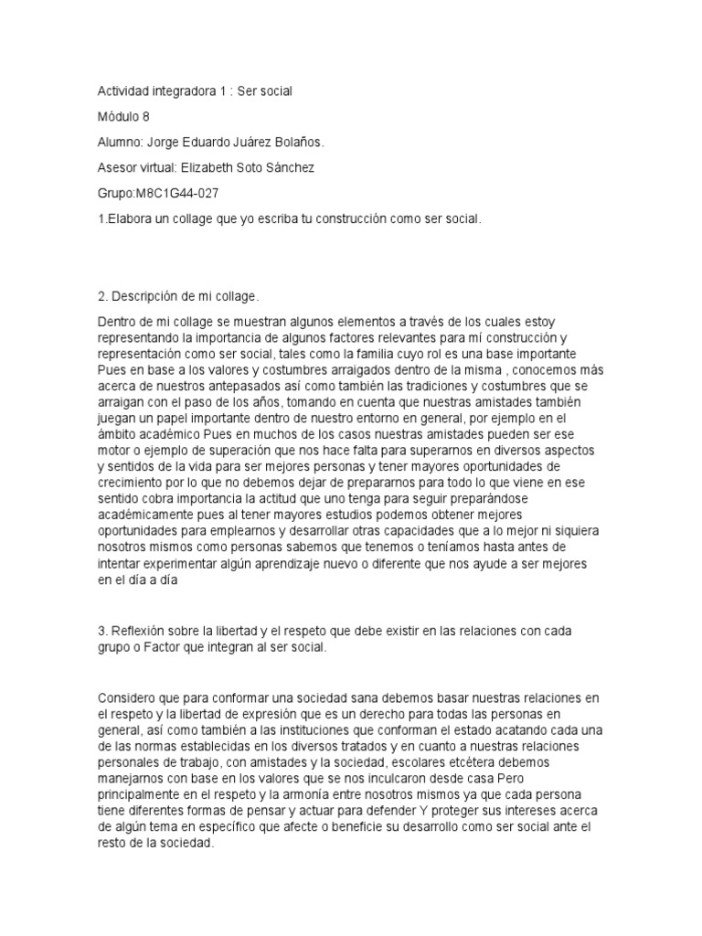 Ser Social Actividad Integradora 1 Módulo 8 | PDF