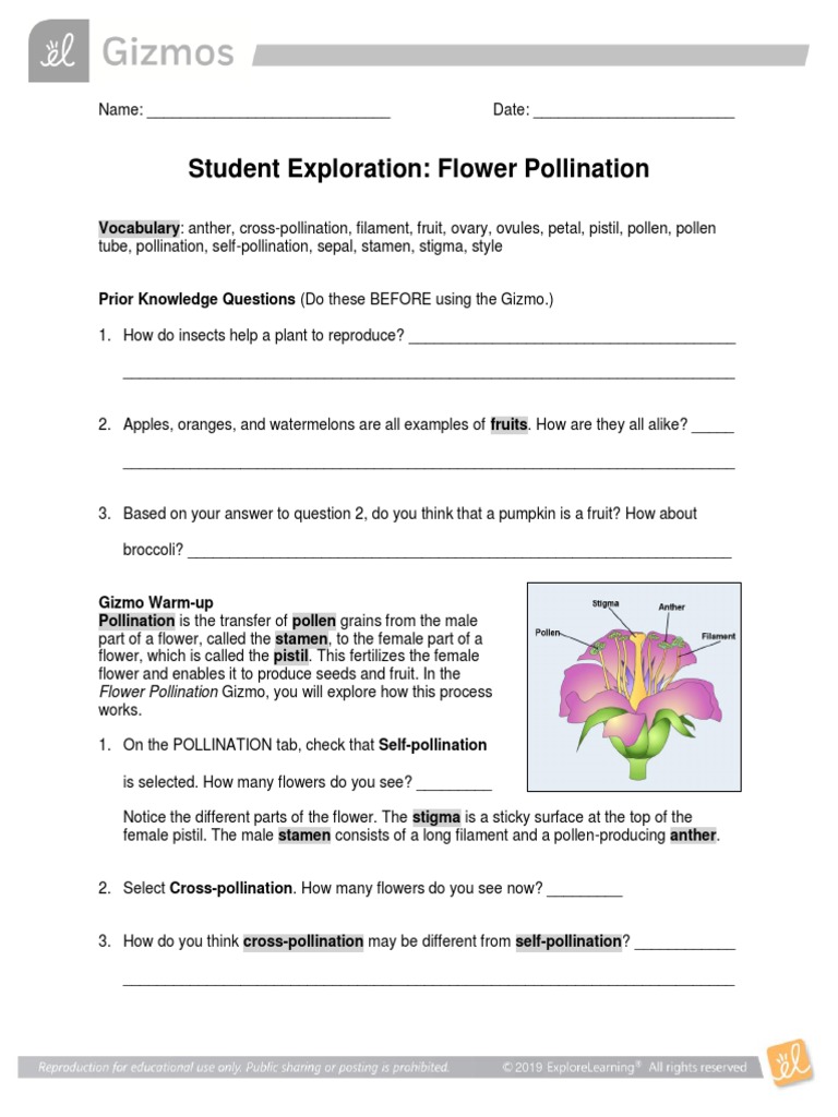 Flower Pollination SE | PDF | Flowers | Pollination