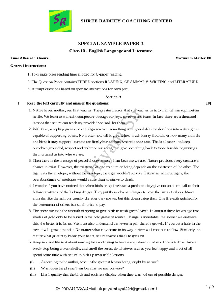 Class 10 English Sample Paper | PDF | Educational Technology | Distance ...