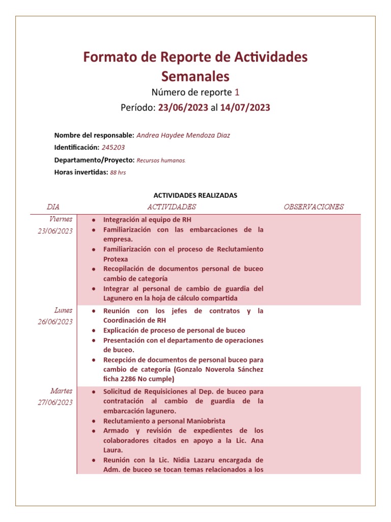 Formato de Reporte de Actividades | PDF