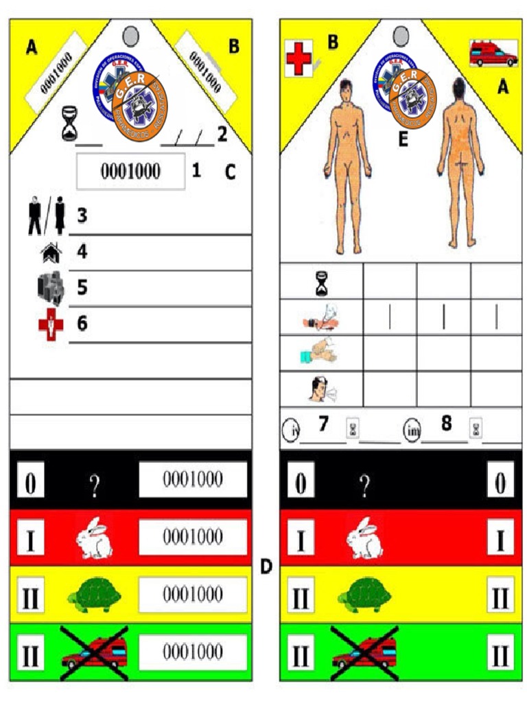 Formatos TRIAGE | PDF
