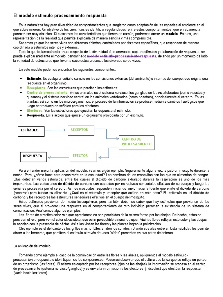 Valeria Cuenca - El Modelo Estímulo - Procesamiento - Respuesta | PDF