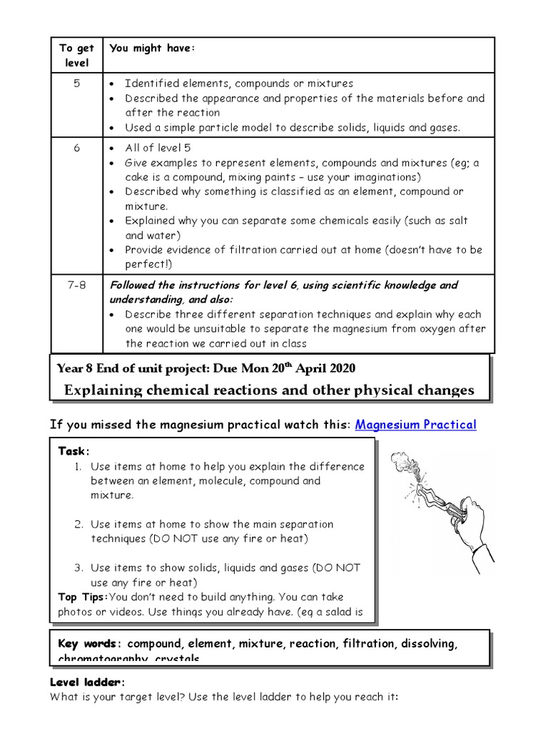 Year 8 Science Project To Do at Home | PDF | Science & Mathematics