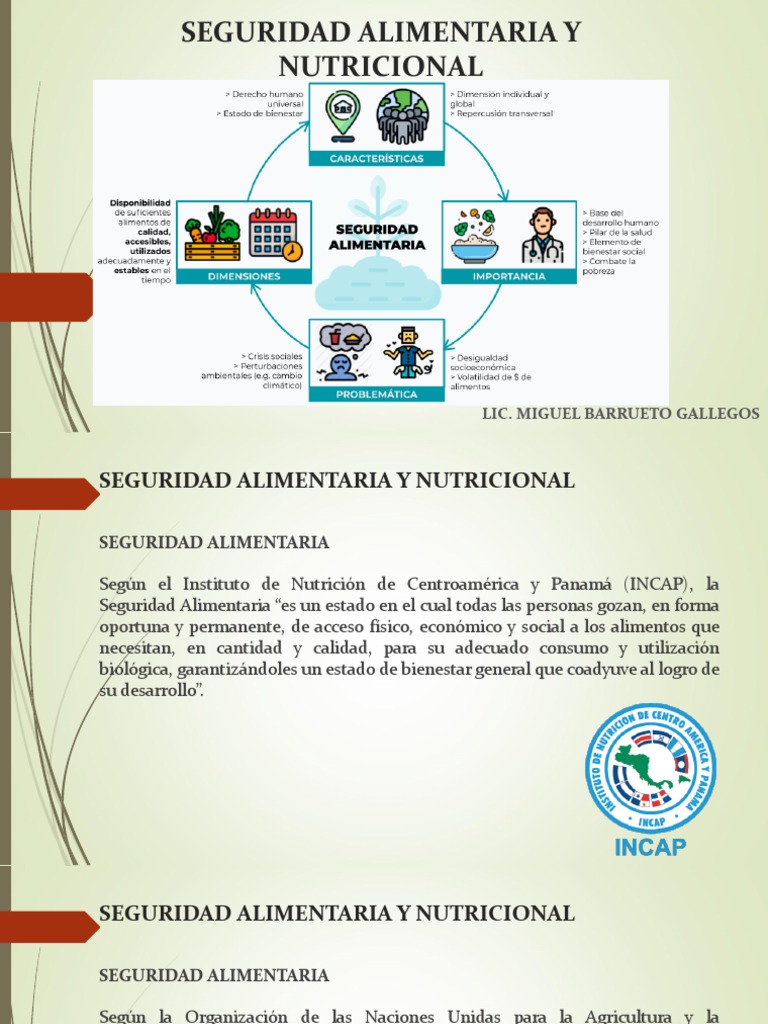 Seguridad Alimentaria Nutricional | PDF | Seguridad alimentaria | Alimentos
