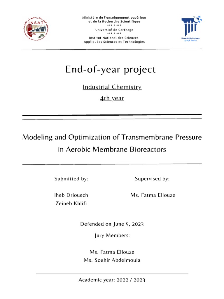 PFA Report Final Version | PDF