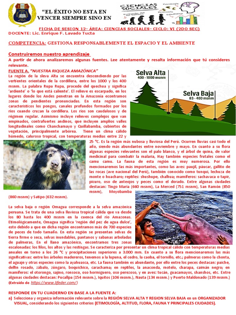 Lectura Sesion 12 Las Ocho Regiones Naturales Del Peru Selva Alta y ...