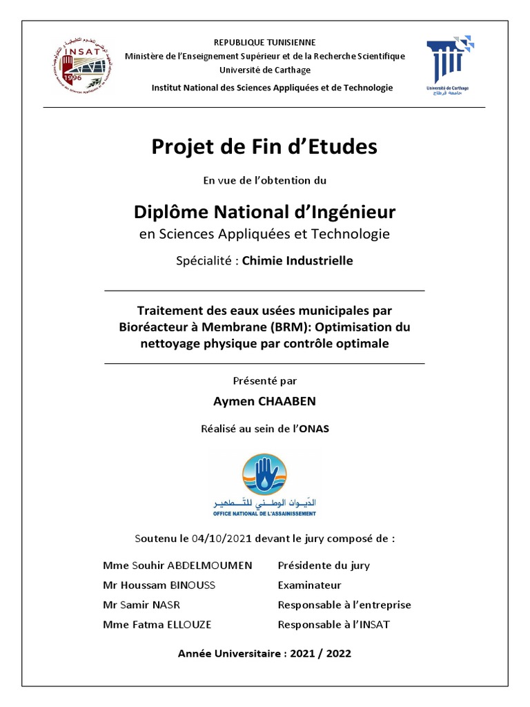 Rapport de Stage Version Finale | PDF