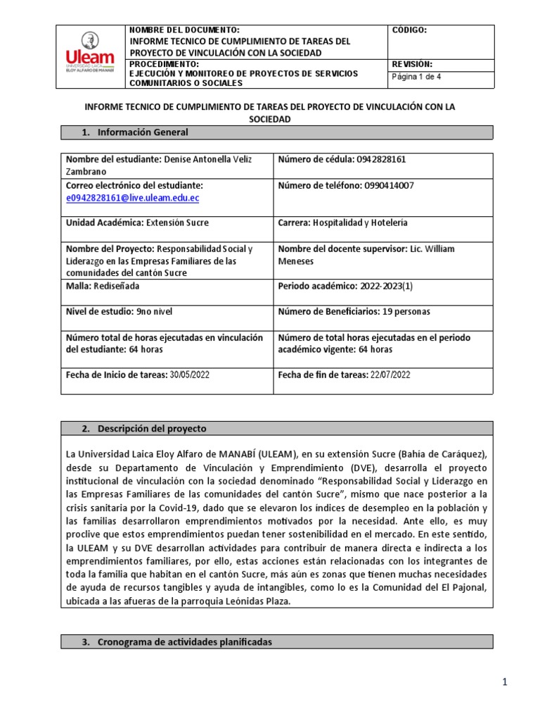 Informe Técnico de Cumplimiento de Tareas Antonella | PDF