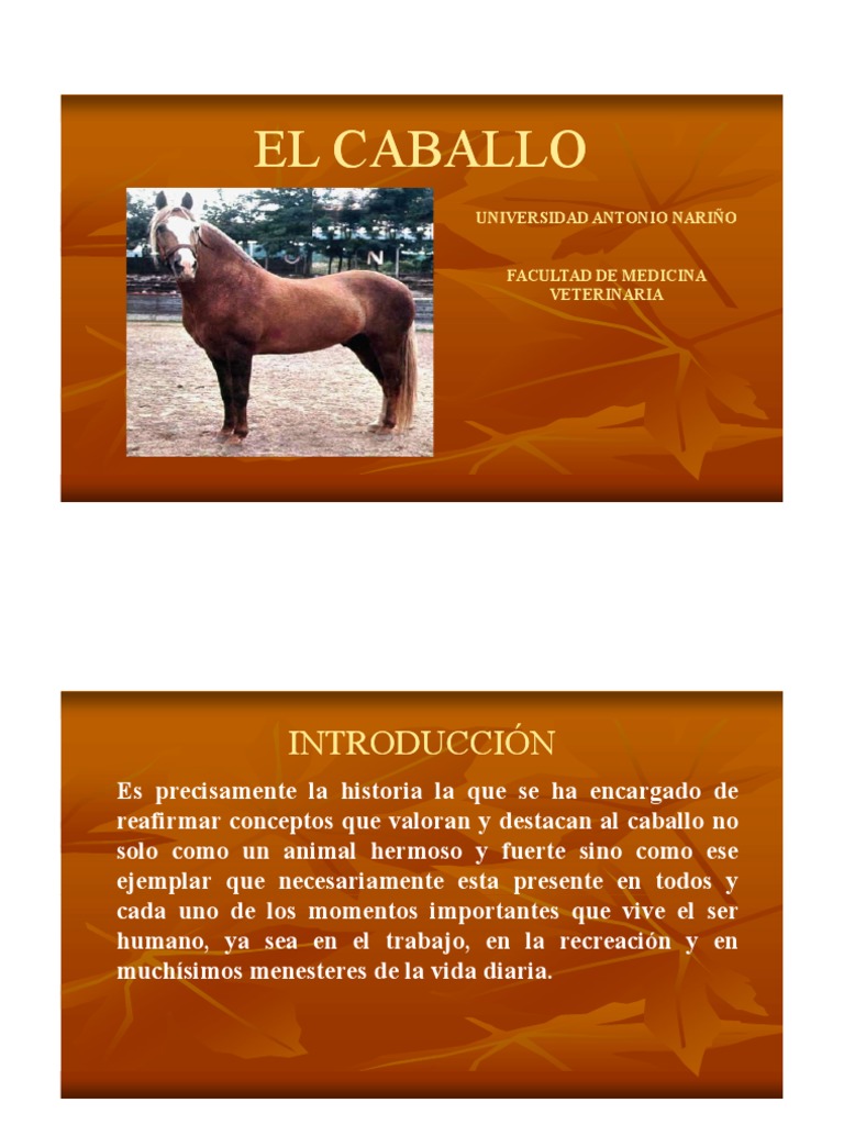 Caballos 1 | PDF | Caballos | Équidos