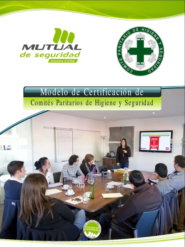 Comite Paritario | PDF | Seguridad y salud ocupacional | Auditoría Comite Paritario | PDF | Seguridad y salud ocupacional | Auditoría
