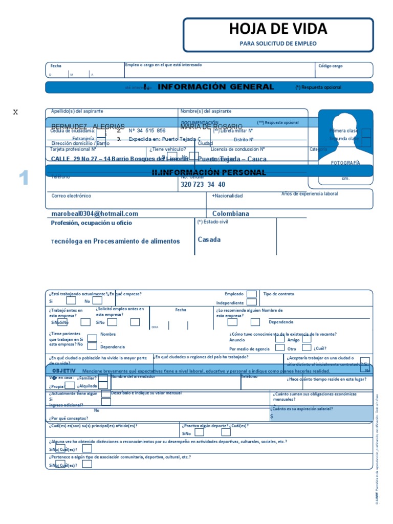 Modelo Hoja de Vida Minerva 1003 Formato Word | PDF