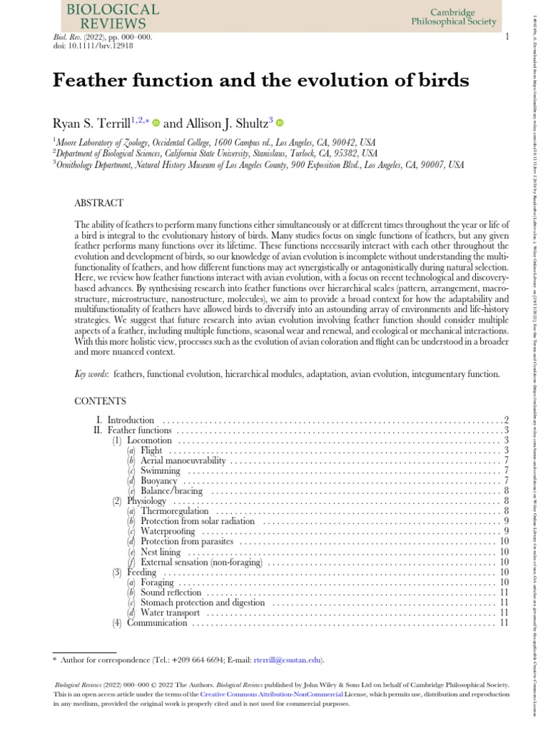 Feather function and the evolution of birds (1) | PDF | Feather | Birds
