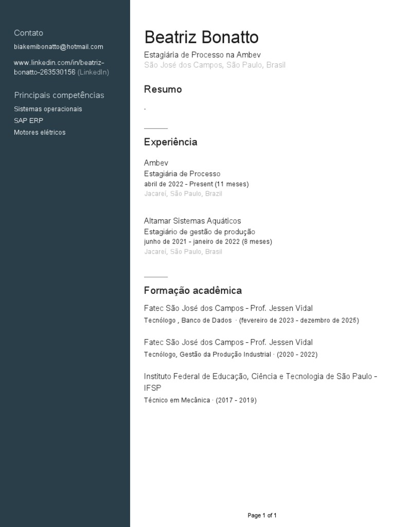 Currículo - Beatriz Bonatto | PDF