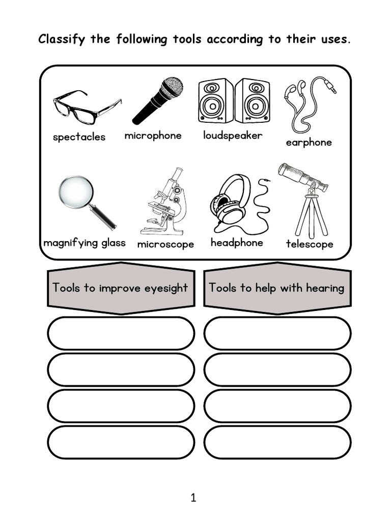 Science DLP Year 1 PPT 2023 | PDF