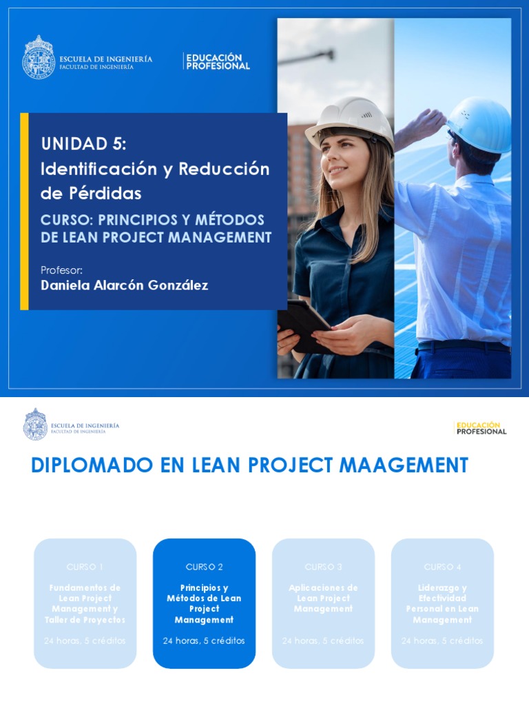 DLPM - Principios y Métodos de LPM - Unidad 5 | PDF