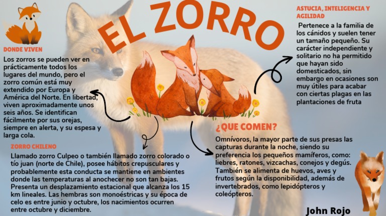 El Zorro | PDF | Fauna