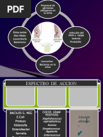 Prospecto NIFURYL | PDF | Infección del tracto urinario ...