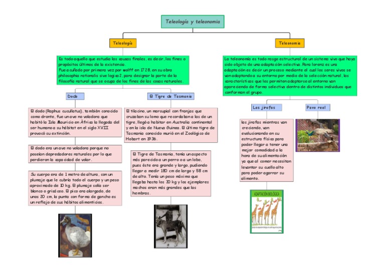 Teleología y Teleonomia. | PDF | Ornitología | Aves