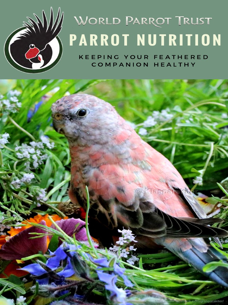 Parrot Nutrition and Diet Essentials | PDF | Parrot | Fruit