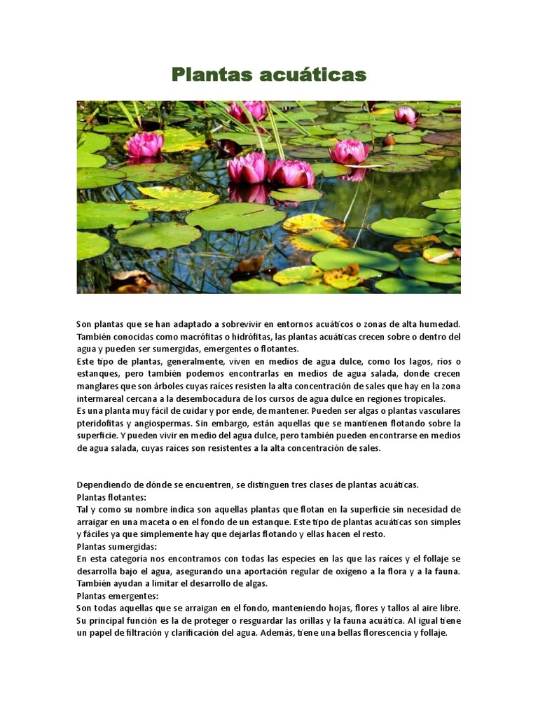 Nombres y tipos de plantas acuáticas | PDF