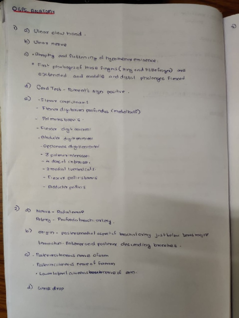 Anatomy Ospe-1 | PDF