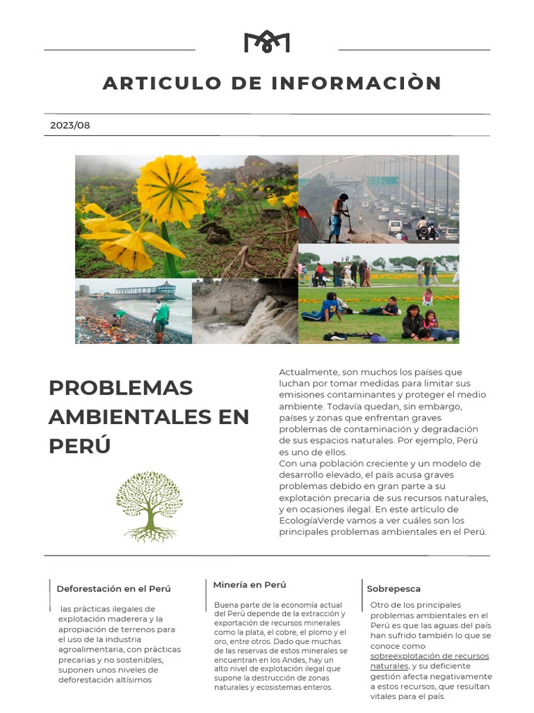 Documento A4 Hoja Informativa Página de Artículo Portada de Periódico ...