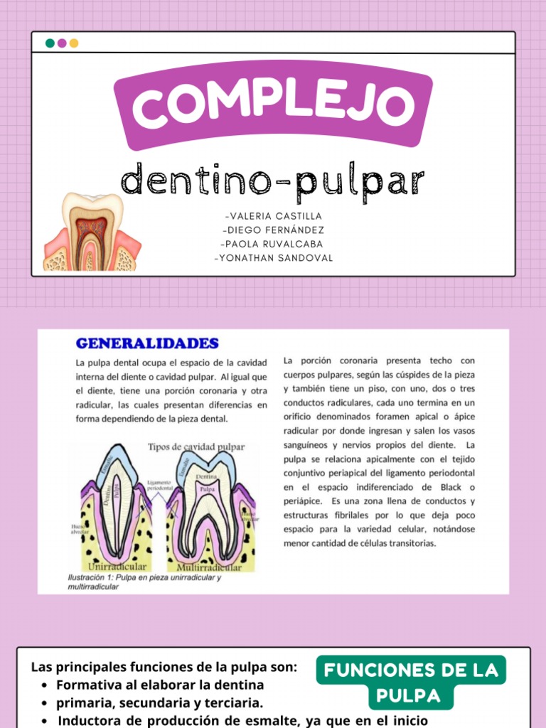 Pulpa | PDF