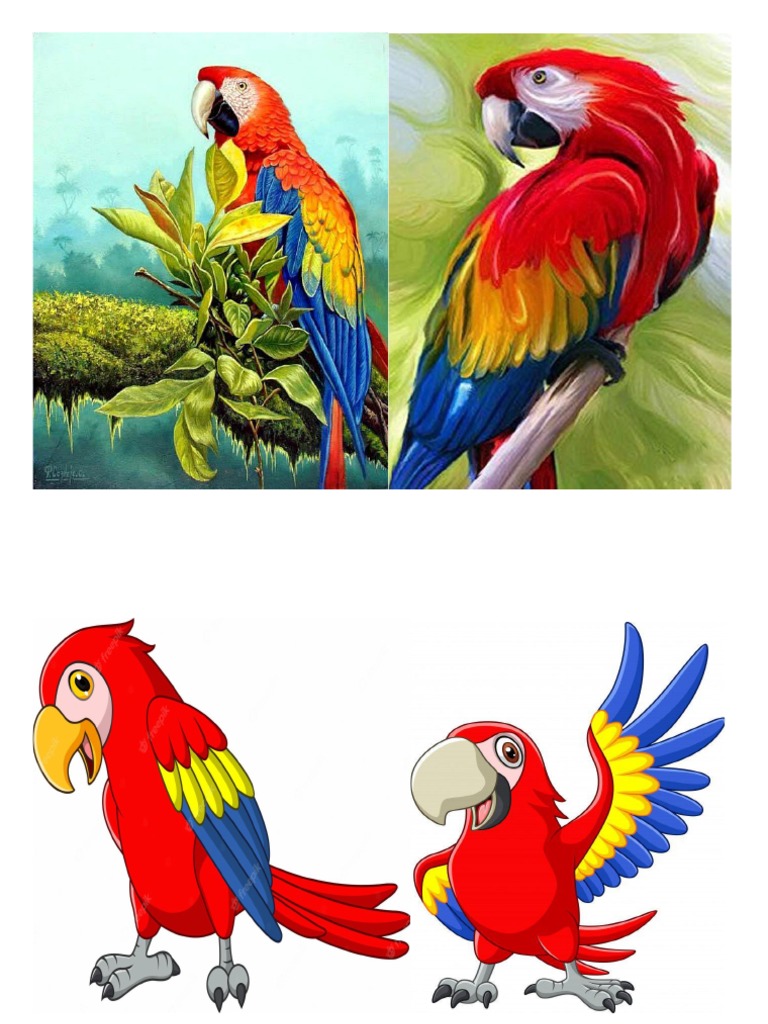 Loros para Pintar | PDF