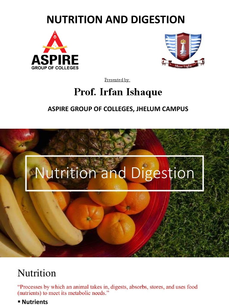 Nutrition & Digestion | PDF