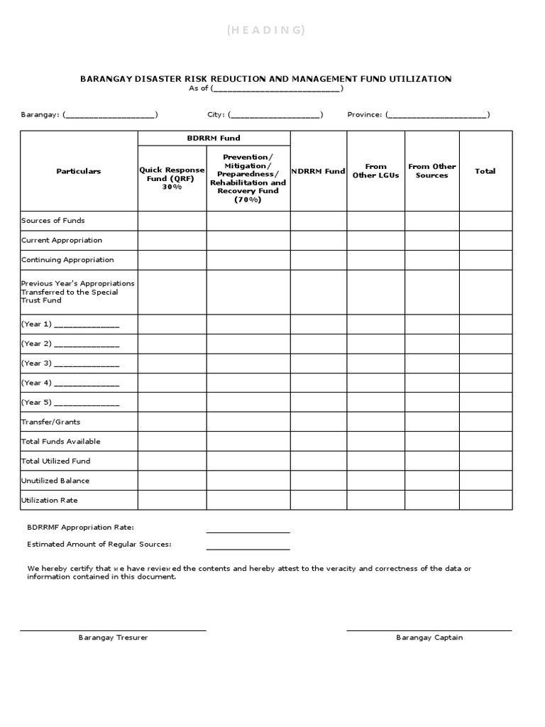 BDRRM Template | PDF