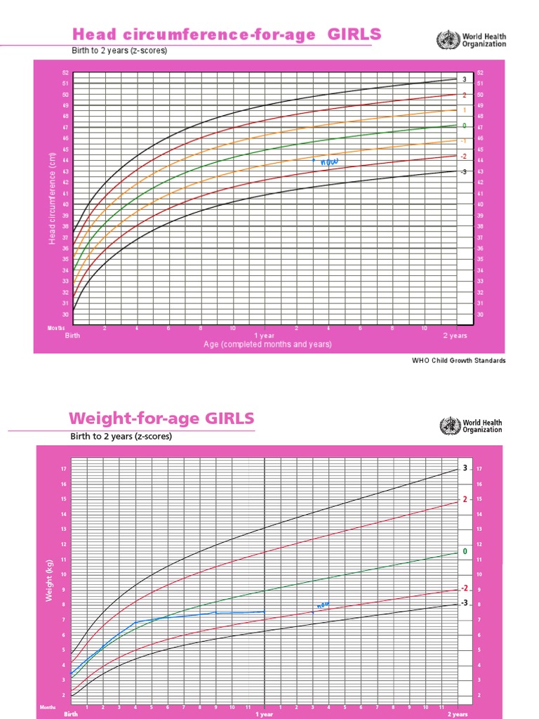 WHO Growth Standards for Girls 0-2 | PDF | Body Shape | Human Body Weight