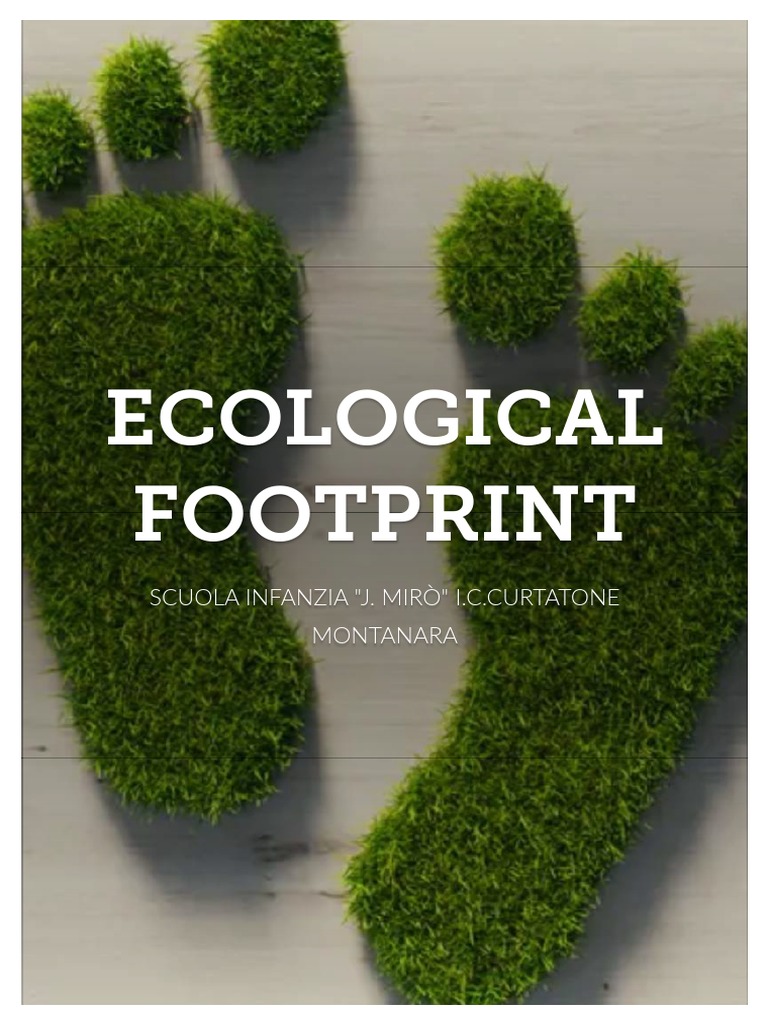 Ecological Footprint | PDF