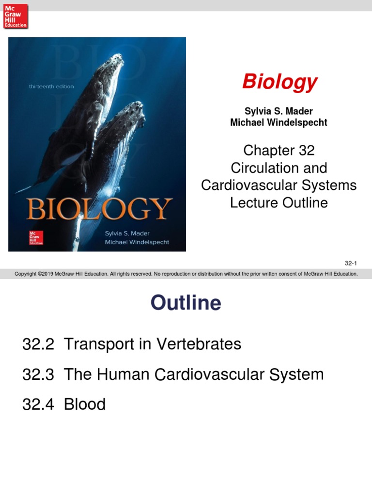 CH 32, Circulation and Cardiovascular Systems | PDF | Science & Mathematics