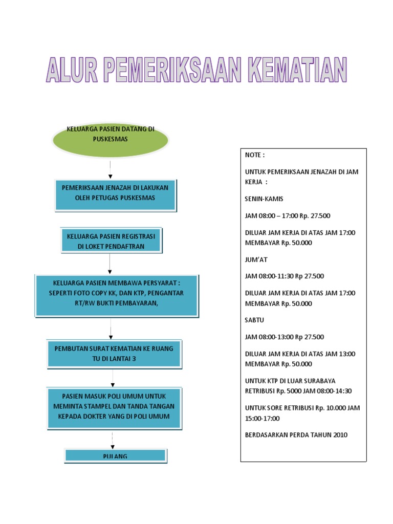 Alur Pemeriksaan Kematian | PDF