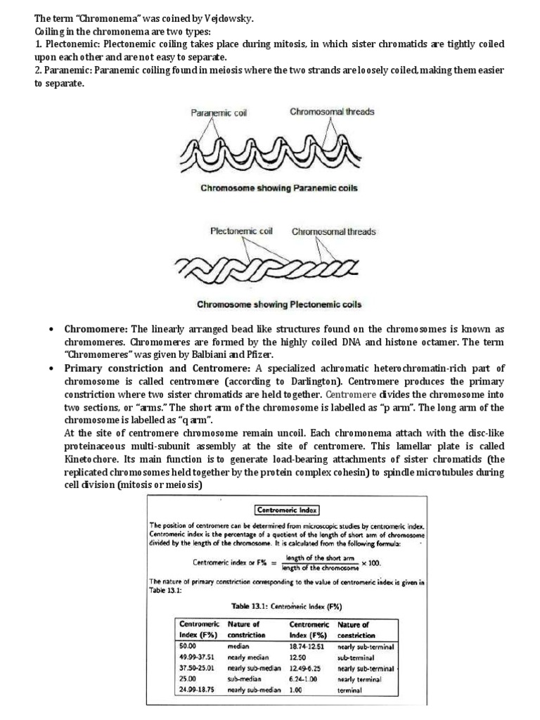 Chromosome Structure and Coiling Types | PDF | Science & Mathematics